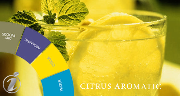 Citrus Aromatic Fragrances with free shipping–Fragrenza