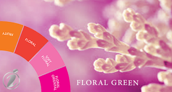 Floral Green Fragrances with free shipping–Fragrenza